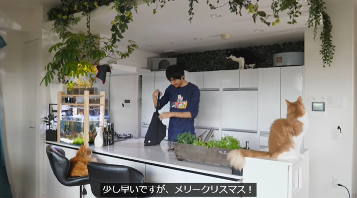 JunsKitchen│咲百合おばあちゃんのYouTubeチャンネルレビュー